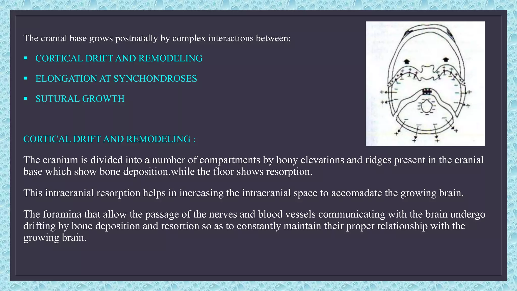 Post natal growth and development of cranio facial complex | PPTX