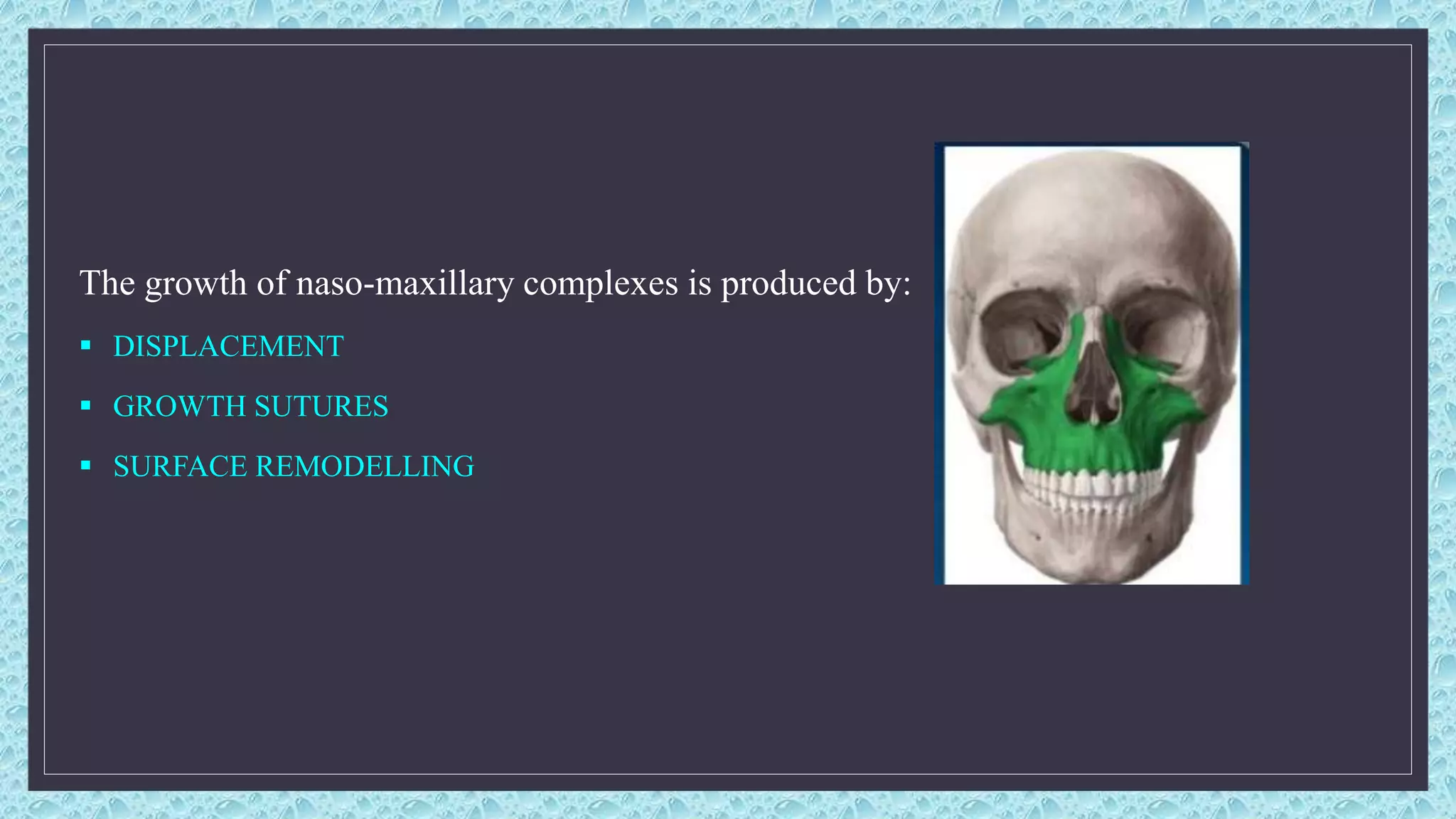 Post natal growth and development of cranio facial complex | PPTX