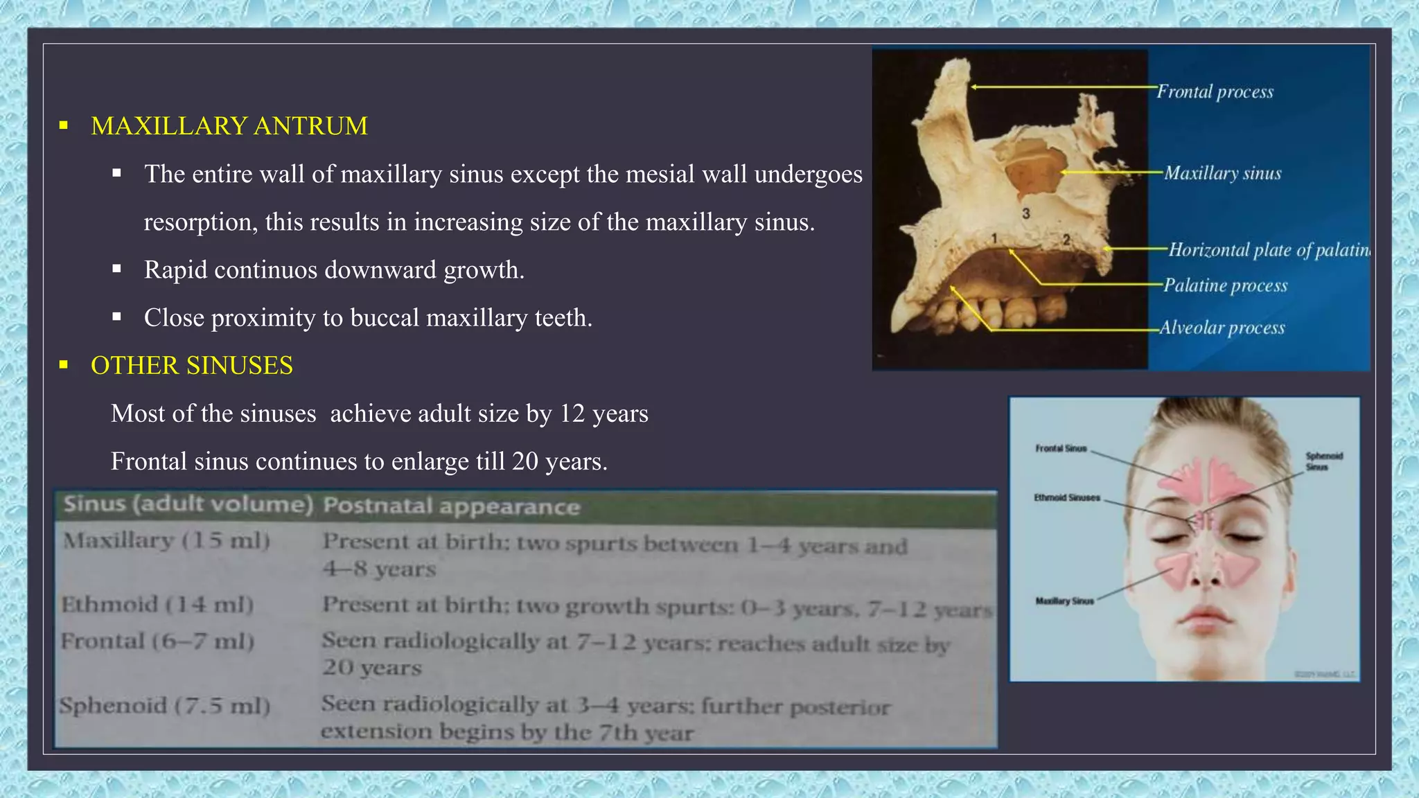Post natal growth and development of cranio facial complex | PPTX