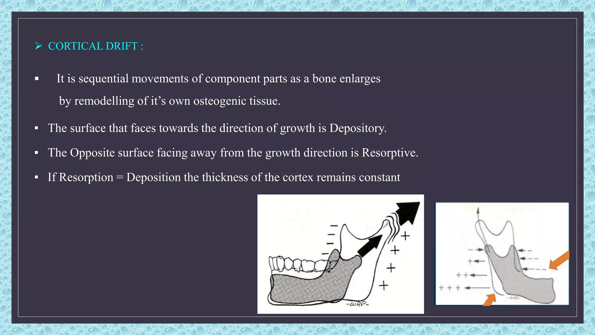 Post natal growth and development of cranio facial complex | PPTX