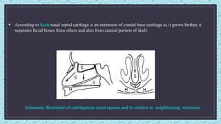 Post natal growth and development of cranio facial complex | PPTX