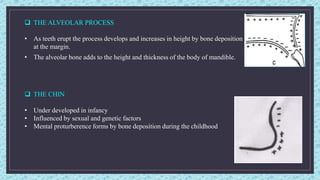 Post natal growth and development of cranio facial complex | PPTX