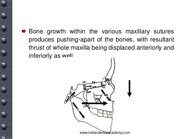 Post natal growth and development of mandible and maxilla /certified
