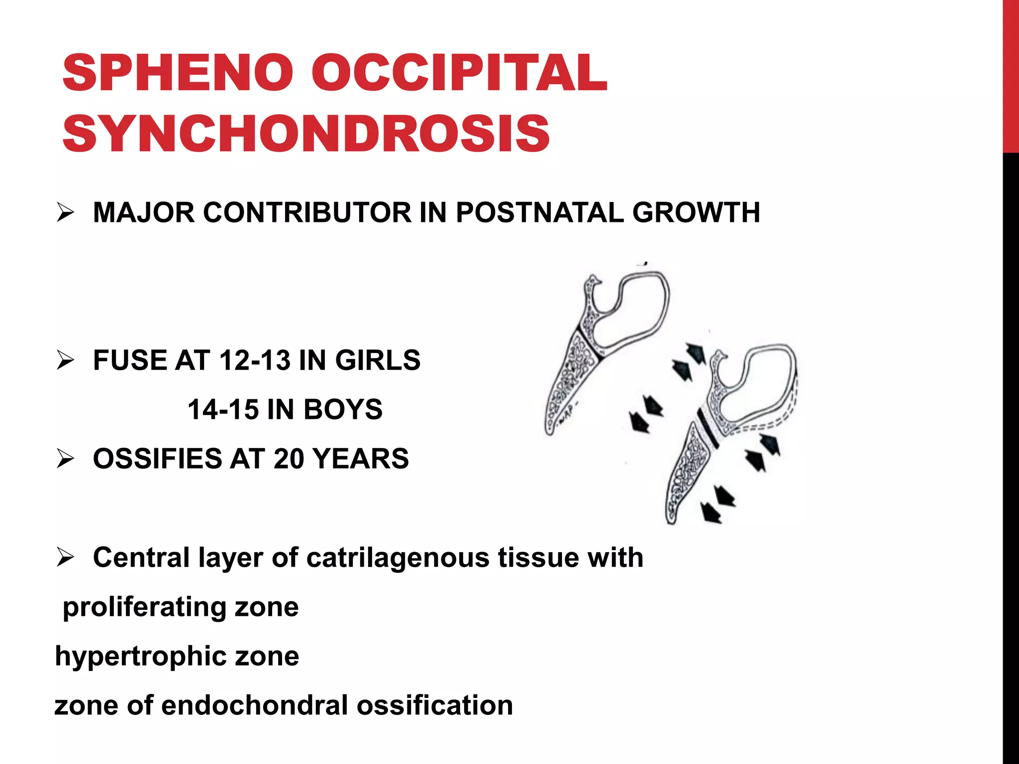 Postnatal growth of cranio facial structures | PDF