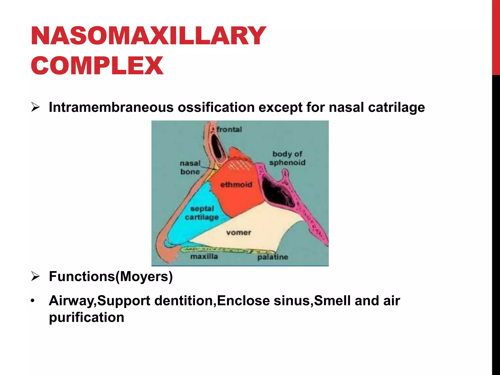 Postnatal growth of cranio facial structures | PDF