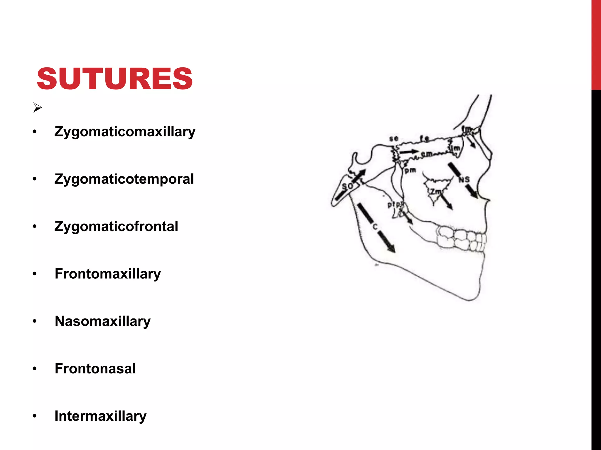 Postnatal growth of cranio facial structures | PDF
