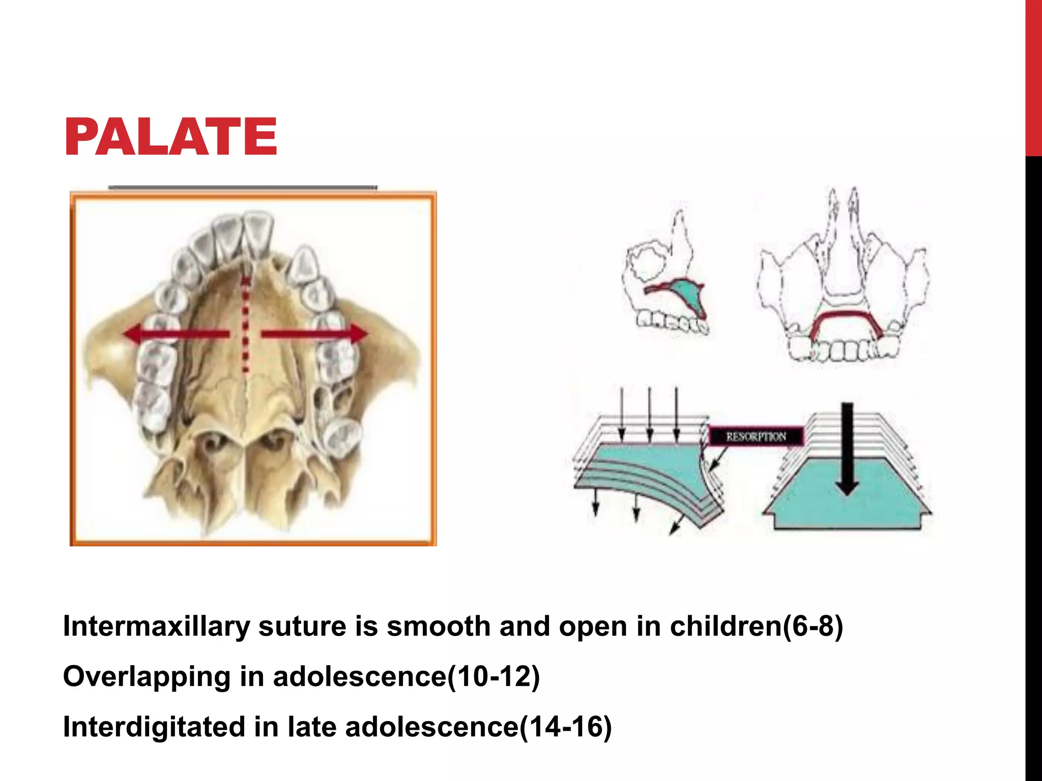 Postnatal growth of cranio facial structures | PDF