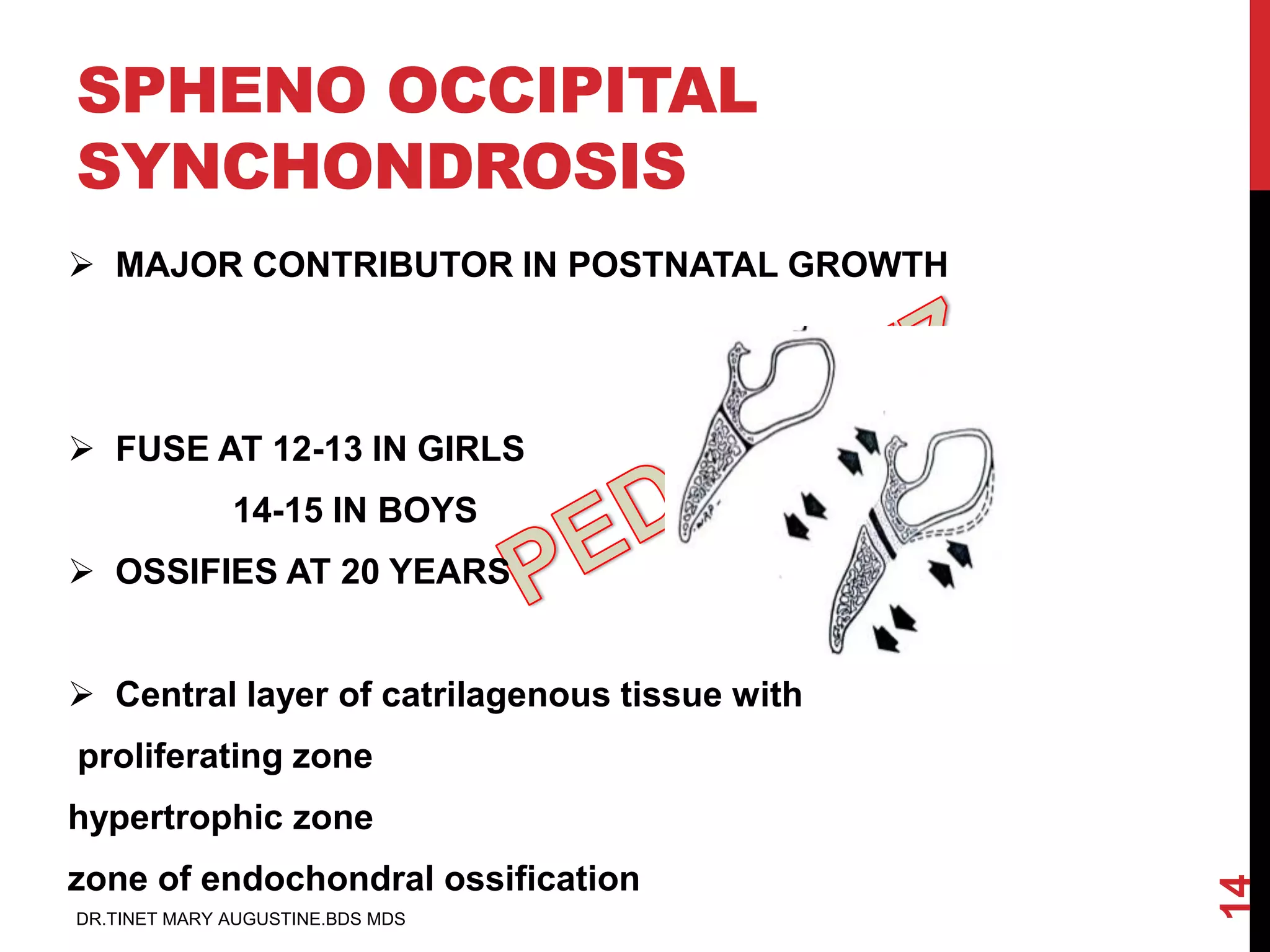Postnatal growth of cranio facial structures | PPT