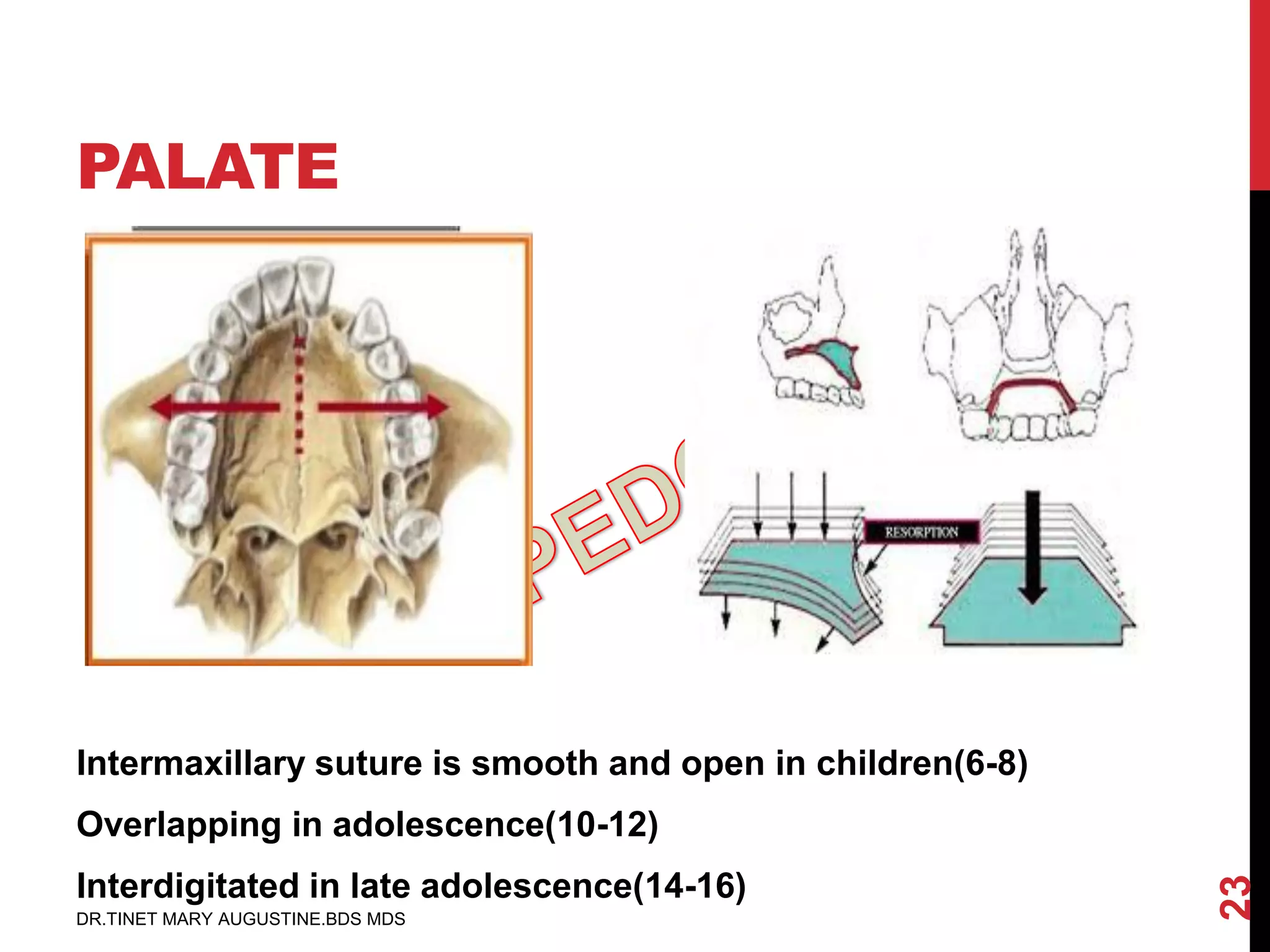 Postnatal growth of cranio facial structures | PPT