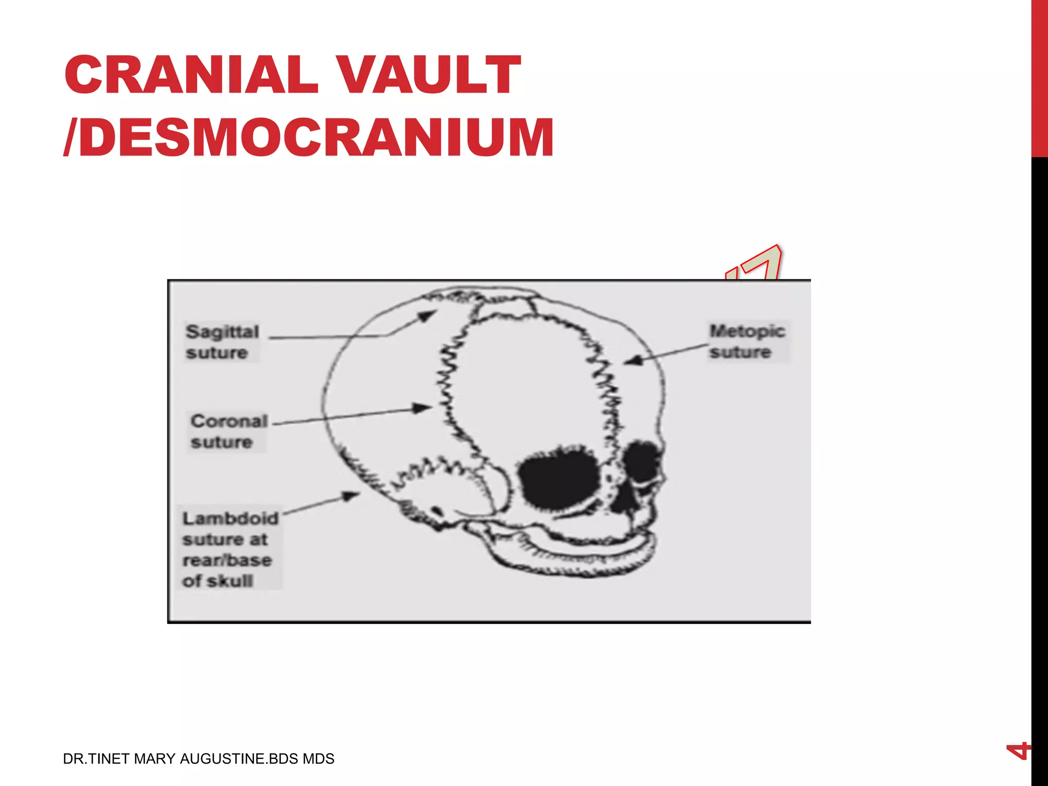 Postnatal growth of cranio facial structures | PPT