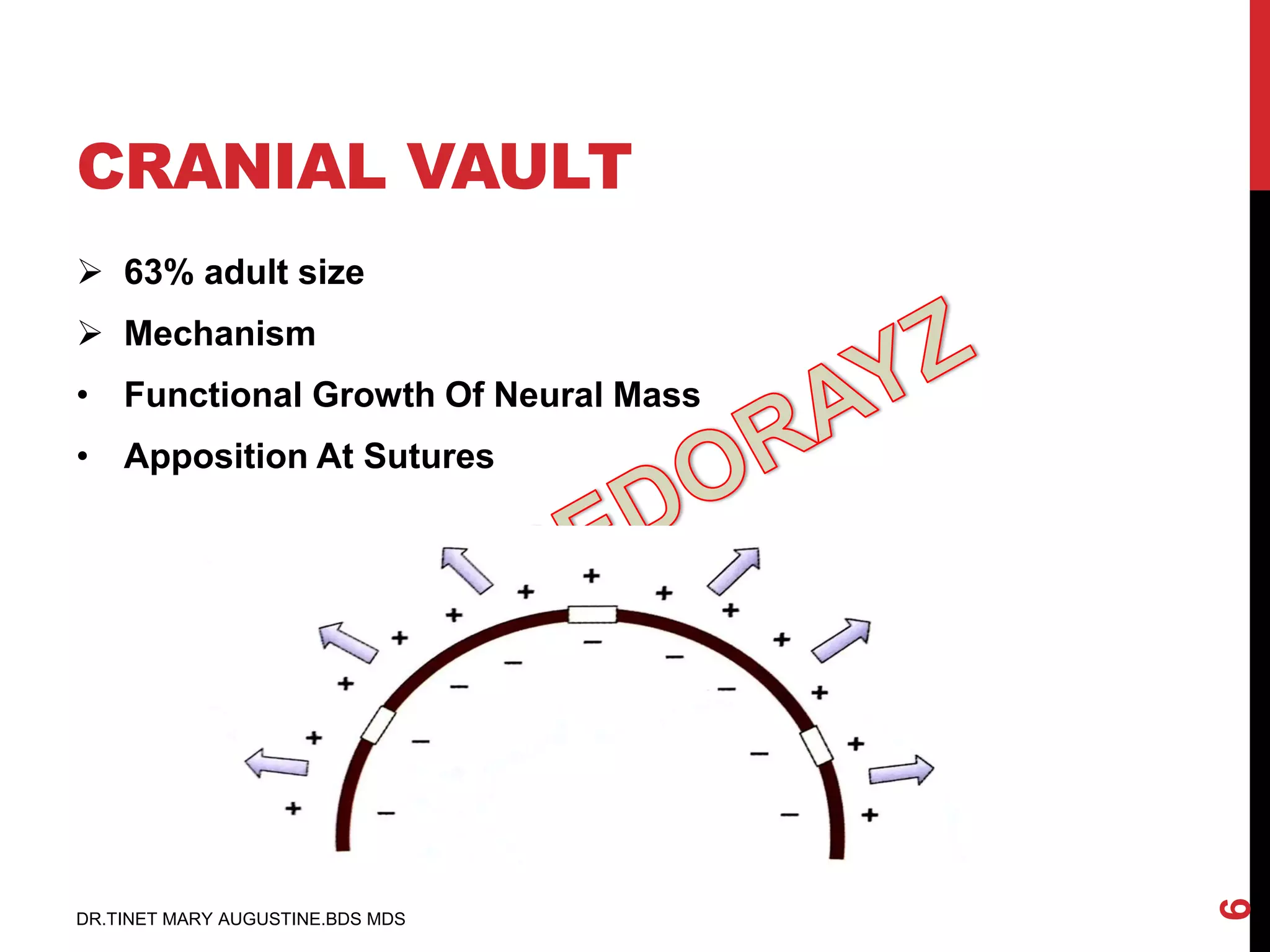Postnatal growth of cranio facial structures | PPT