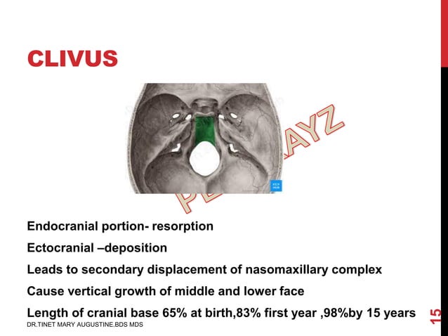 Postnatal growth of cranio facial structures | PPT