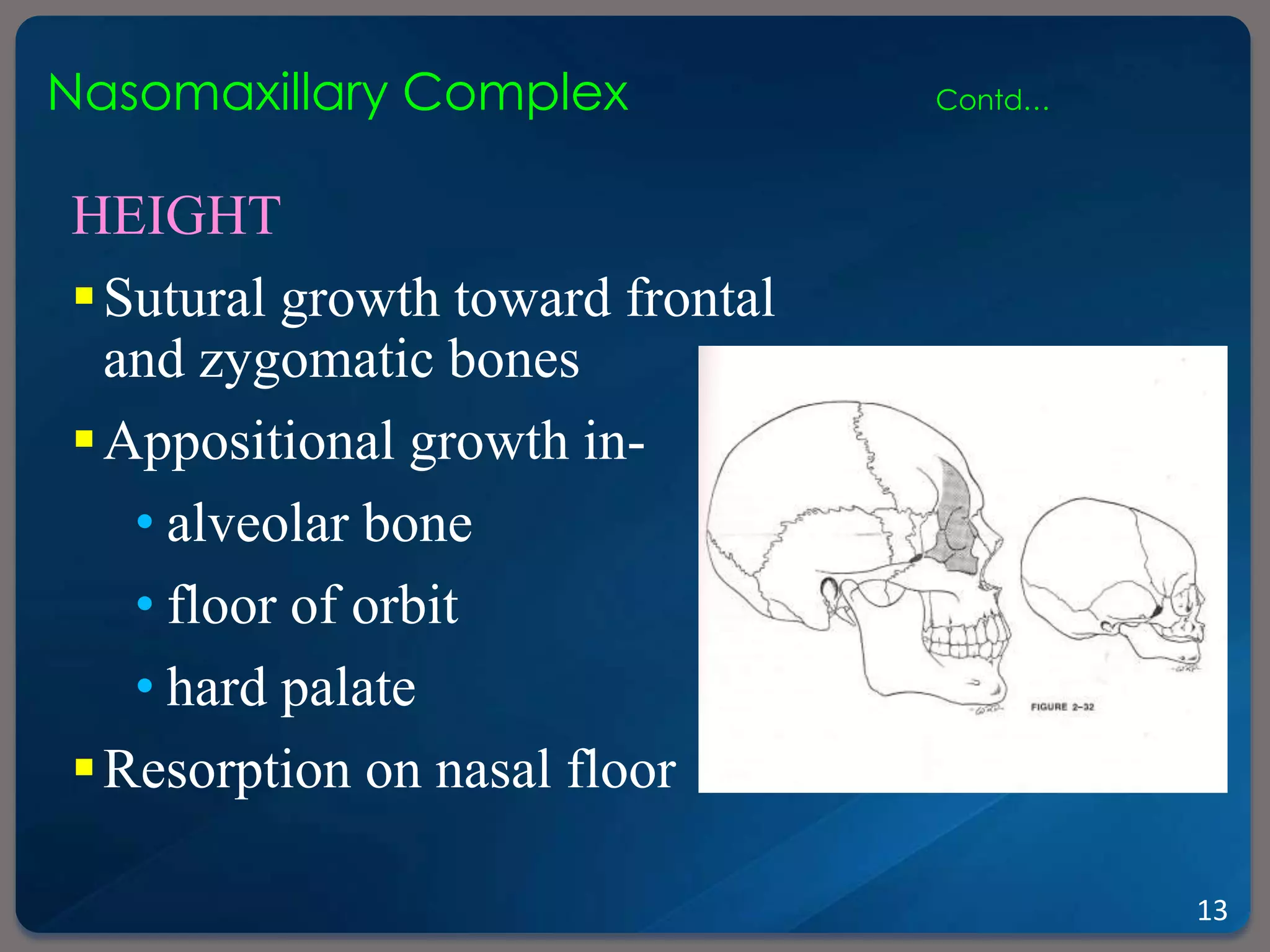 Postnatal growth of face | PPTX