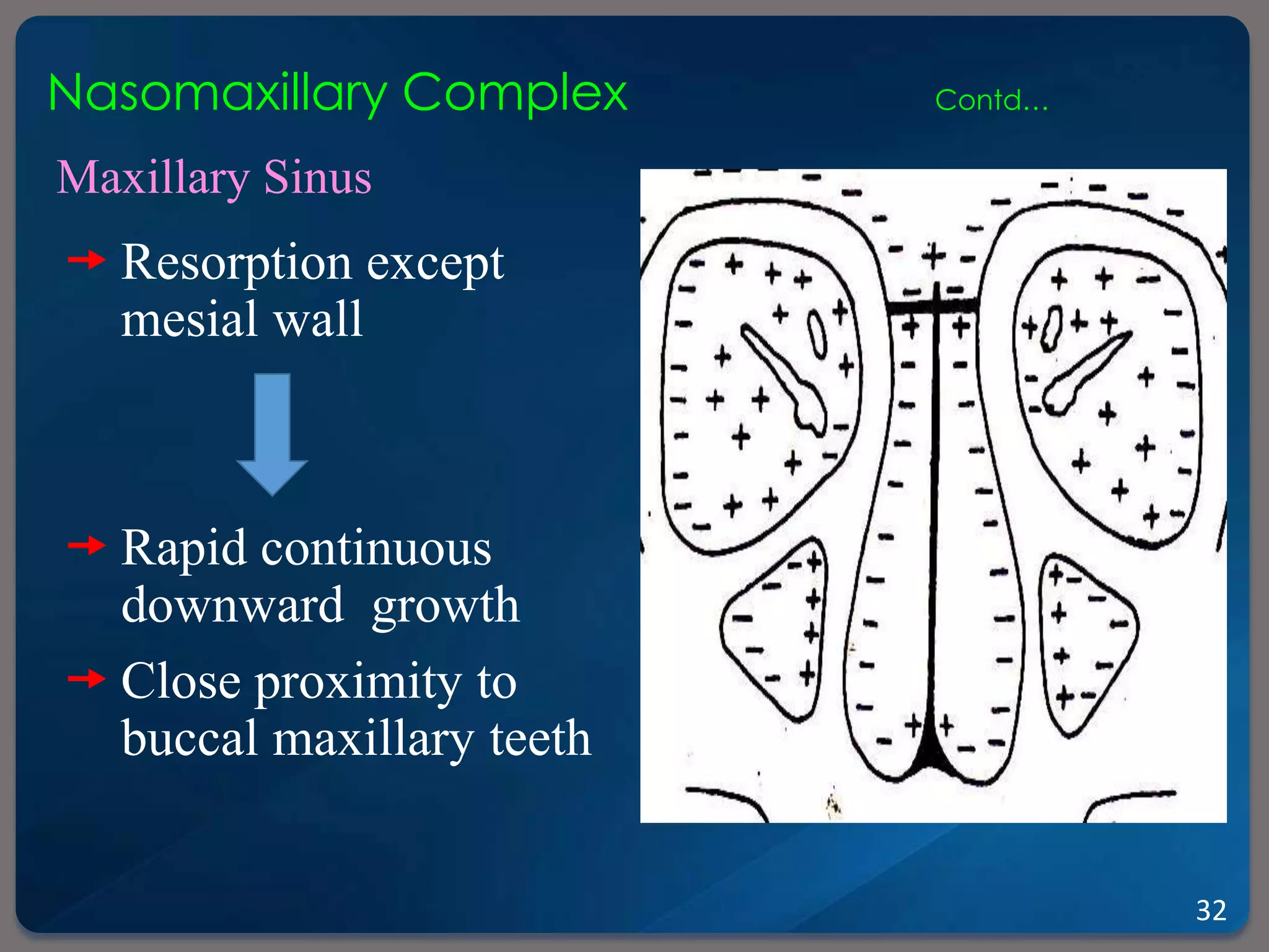 Postnatal growth of face | PPTX