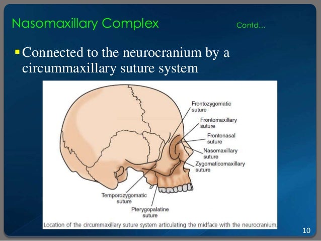 Postnatal growth of face