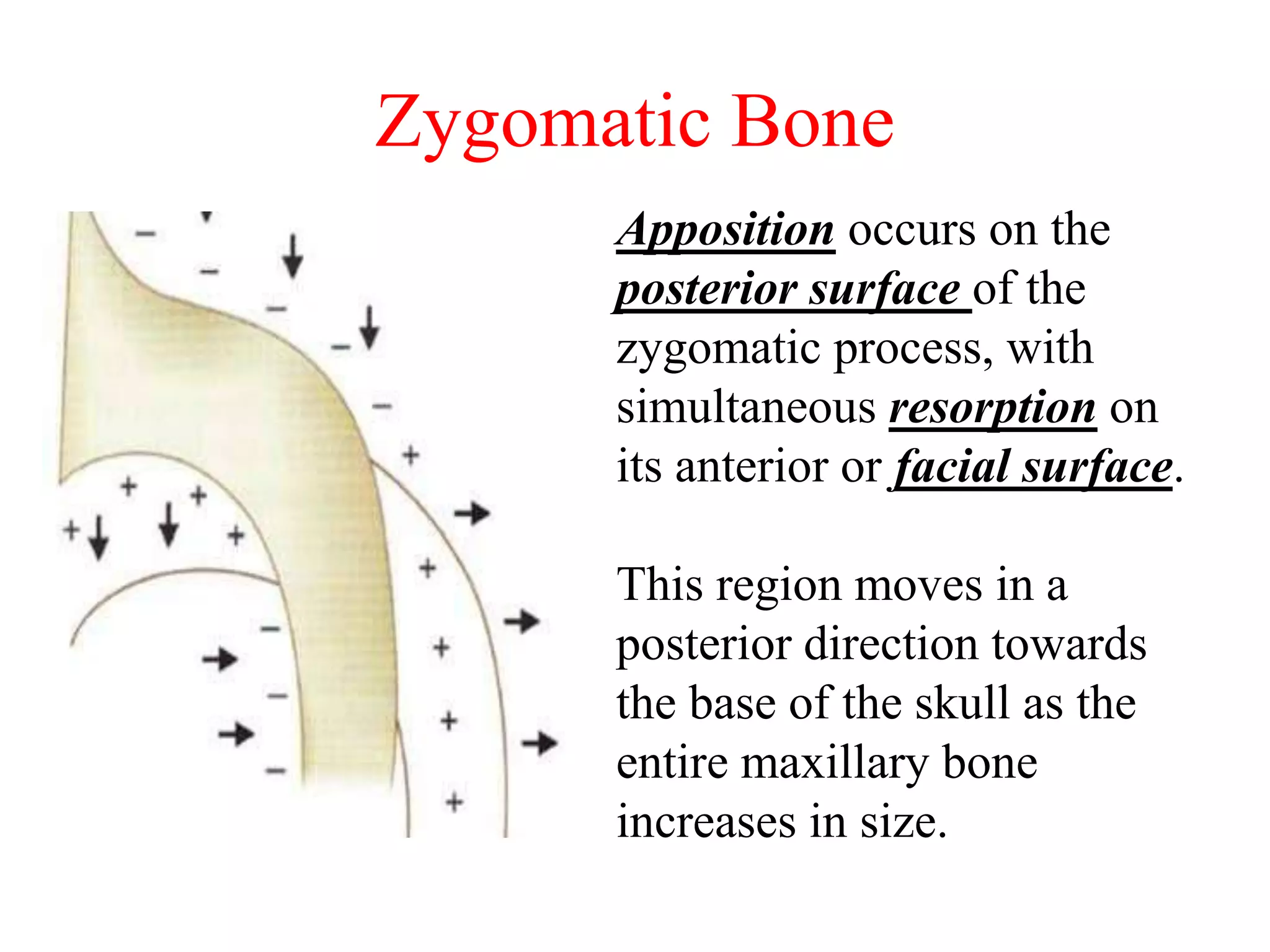 Postnatal growth of maxilla | PPTX