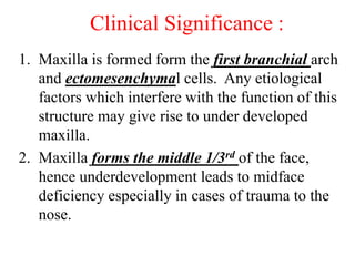Postnatal growth of maxilla | PPTX