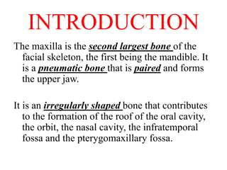 Postnatal growth of maxilla | PPTX