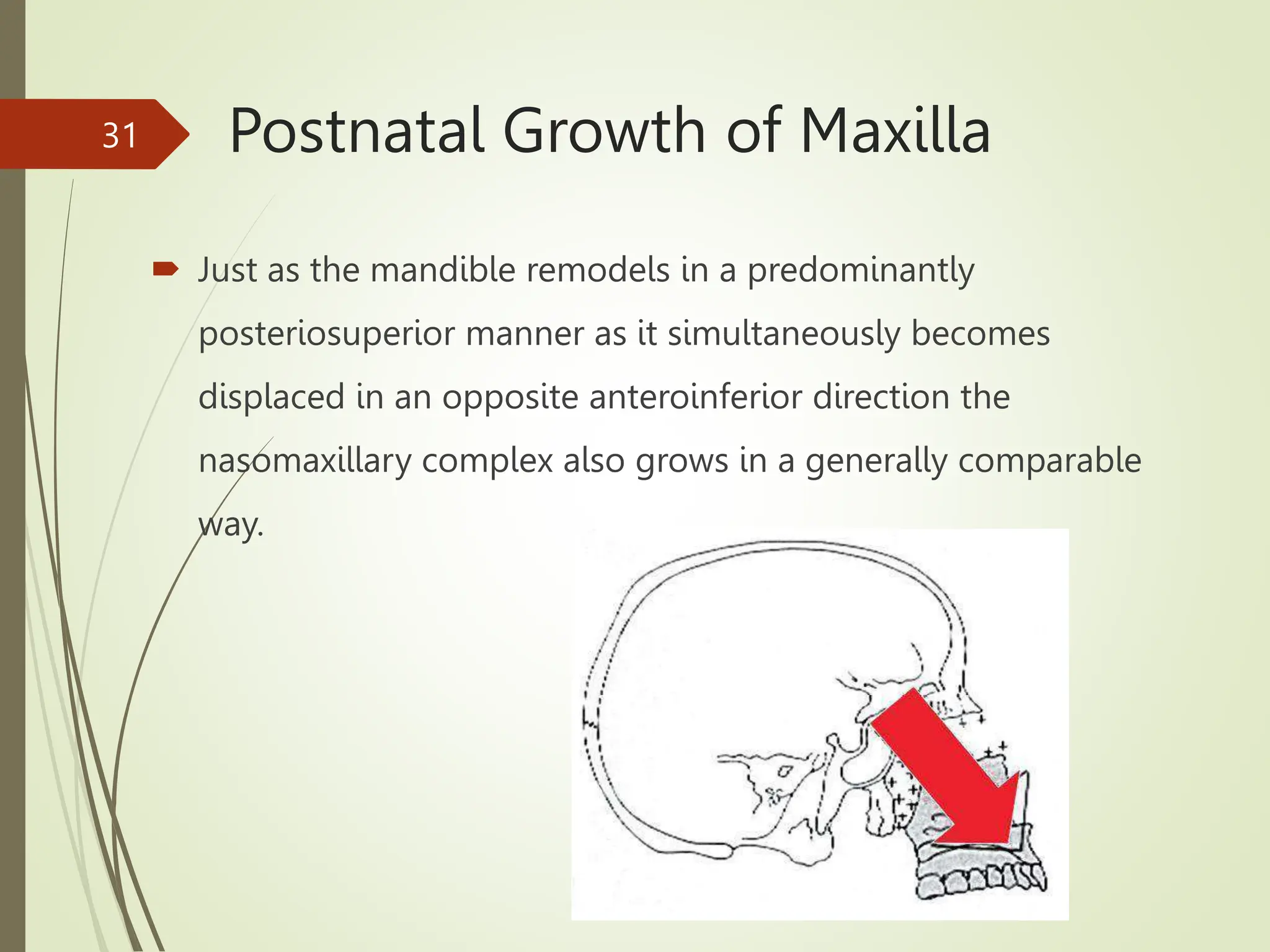 POST NATAL GROWTH OF MAXILLA AND MANDIBLE.pptx