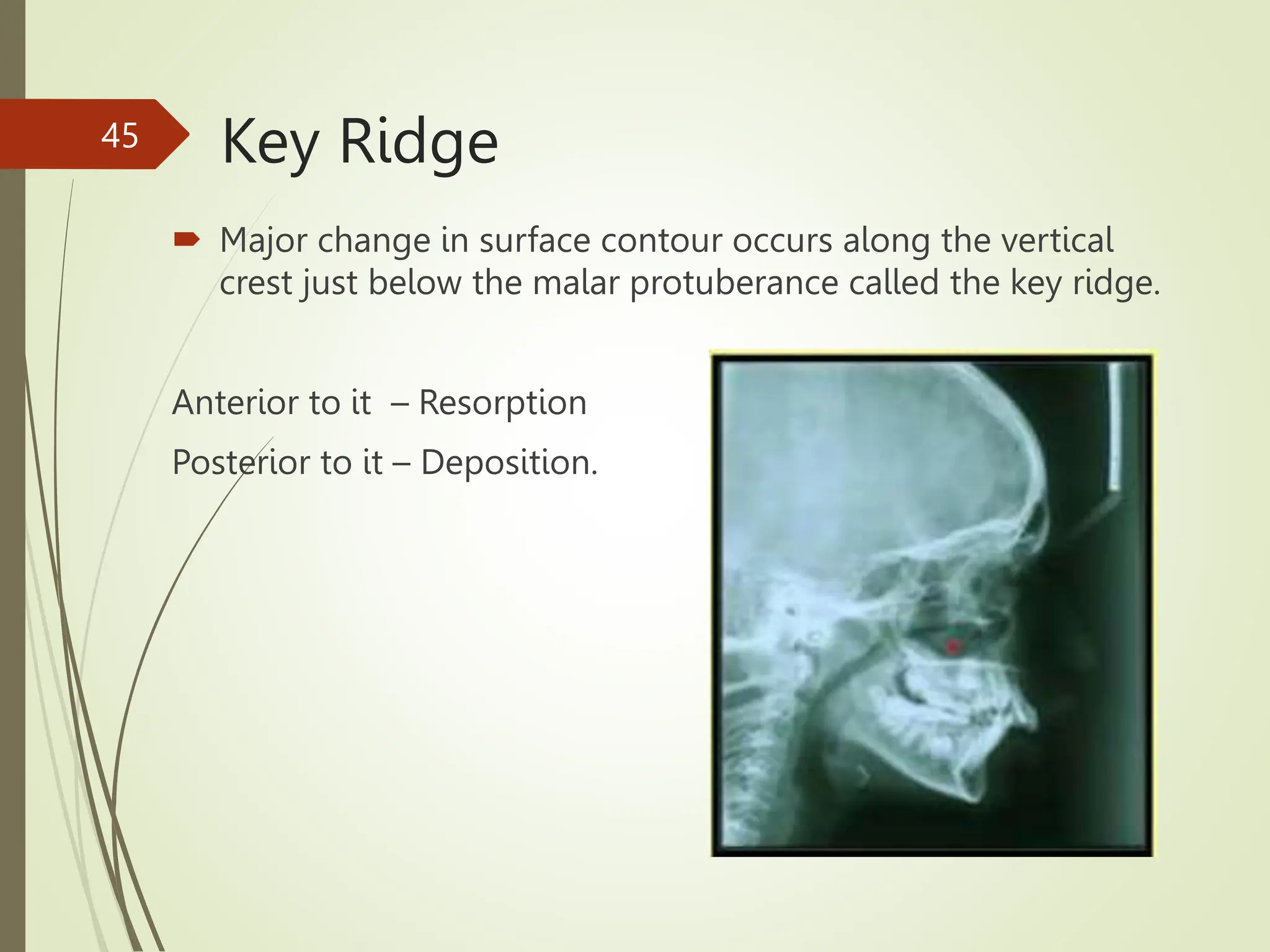 POST NATAL GROWTH OF MAXILLA AND MANDIBLE.pptx