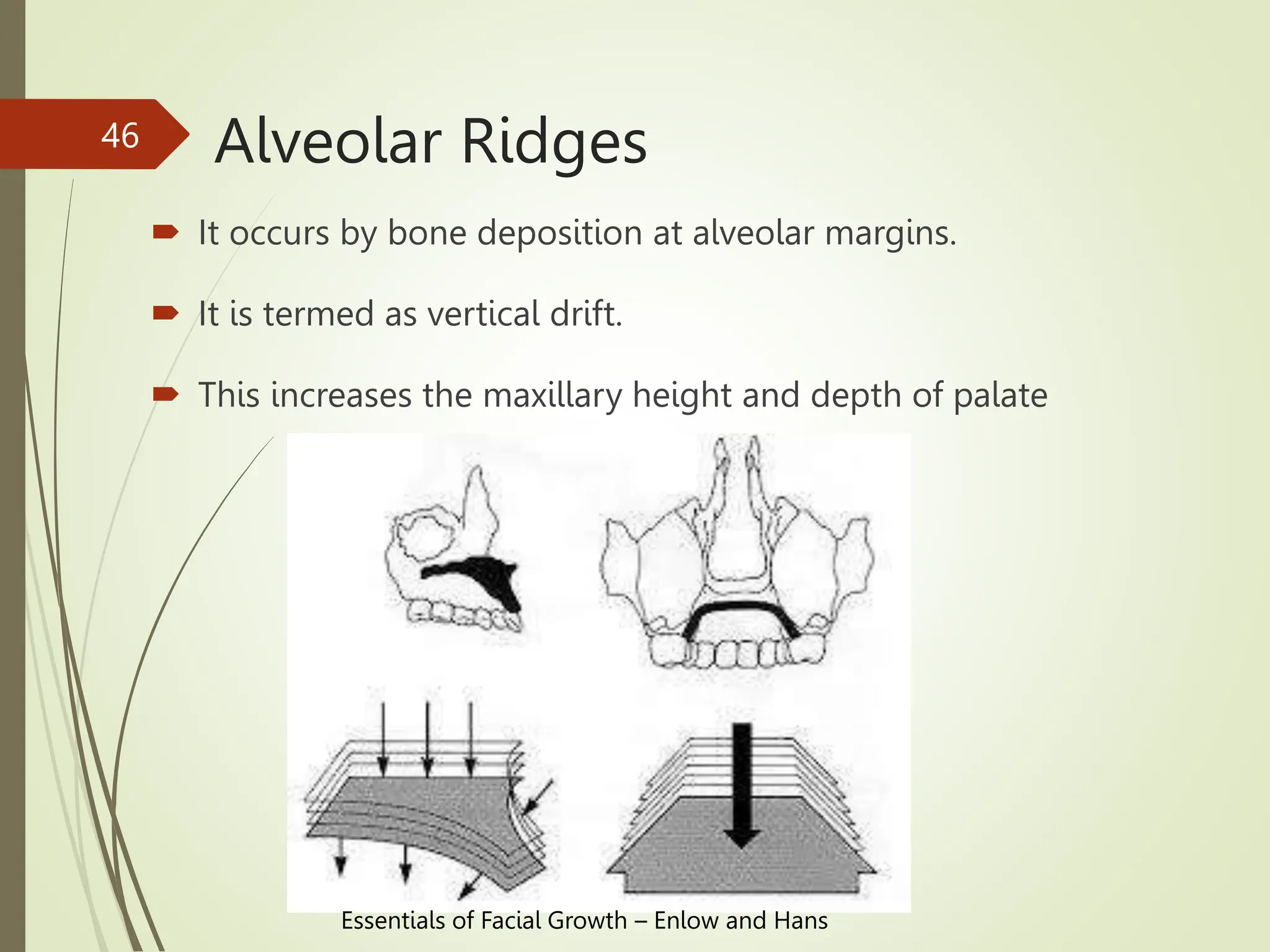POST NATAL GROWTH OF MAXILLA AND MANDIBLE.pptx