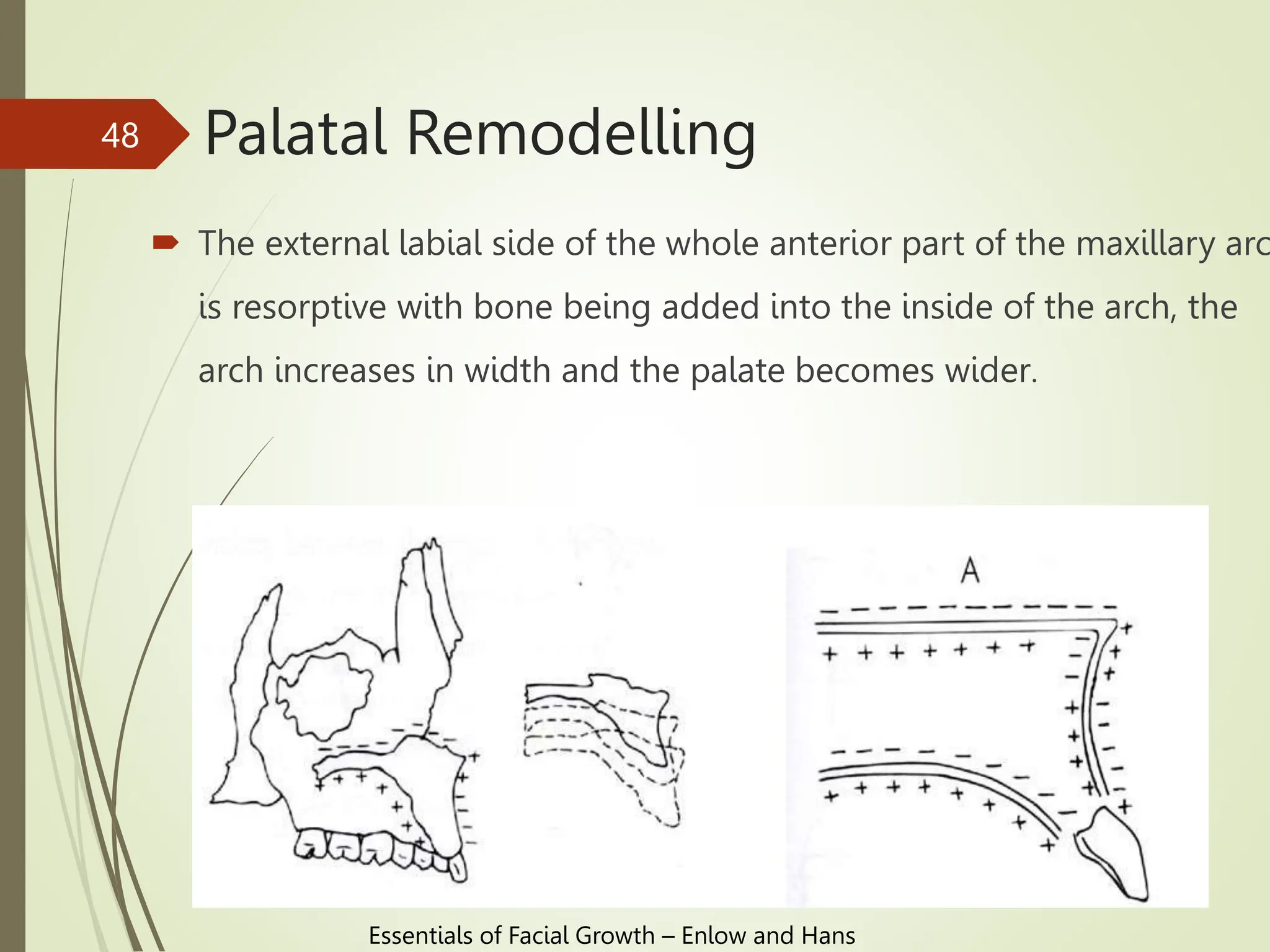 POST NATAL GROWTH OF MAXILLA AND MANDIBLE.pptx