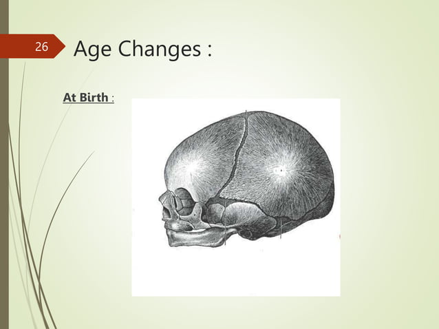 POST NATAL GROWTH OF MAXILLA AND MANDIBLE.pptx | Bone and Joint Conditions | Diseases and Conditions