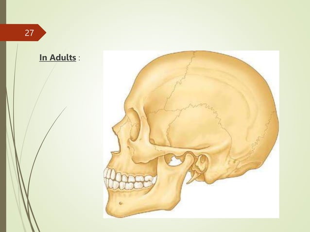 POST NATAL GROWTH OF MAXILLA AND MANDIBLE.pptx