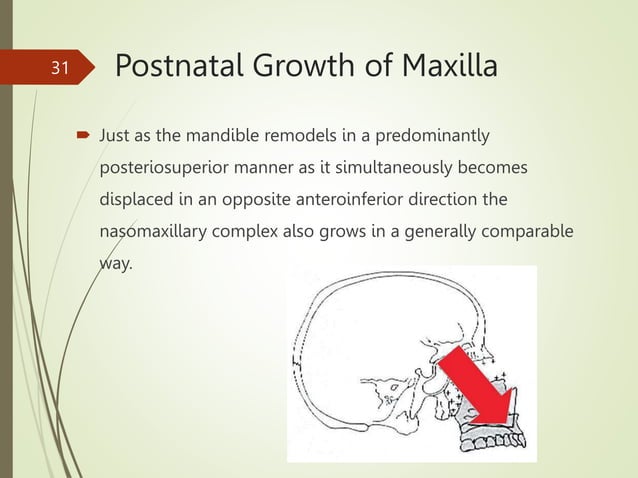 POST NATAL GROWTH OF MAXILLA AND MANDIBLE.pptx | Bone and Joint Conditions | Diseases and Conditions