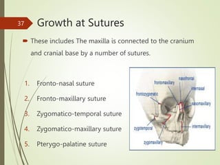 POST NATAL GROWTH OF MAXILLA AND MANDIBLE.pptx
