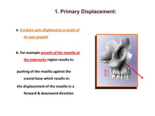 Postnatal growth of the skull and jaws _ Dr. Nabil Al-Zubair | PDF