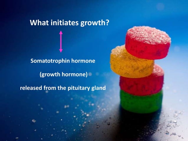 Postnatal growth of the skull and jaws _ Dr. Nabil Al-Zubair | PDF ...