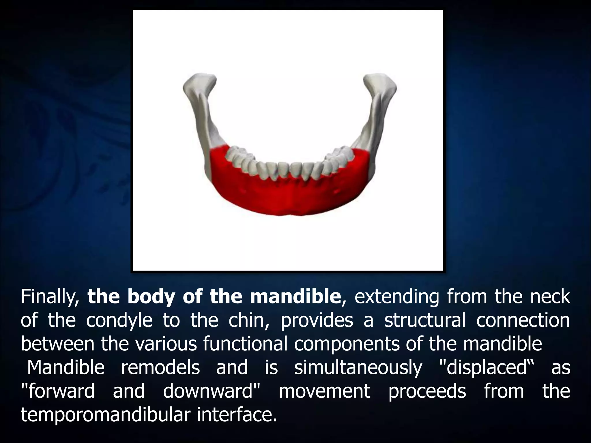 Postnatal growth of mandible | PPT