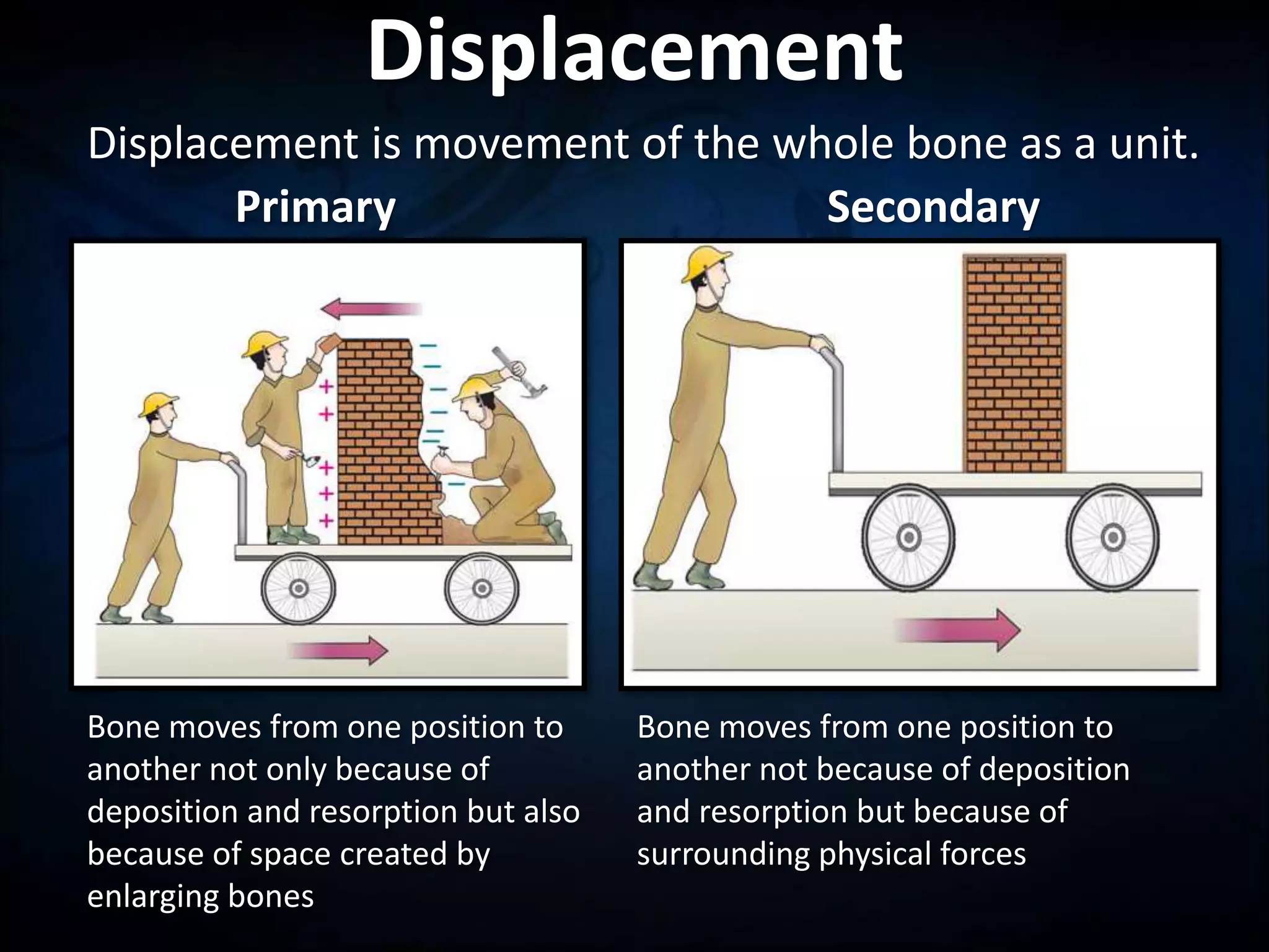 Postnatal growth of mandible | PPT