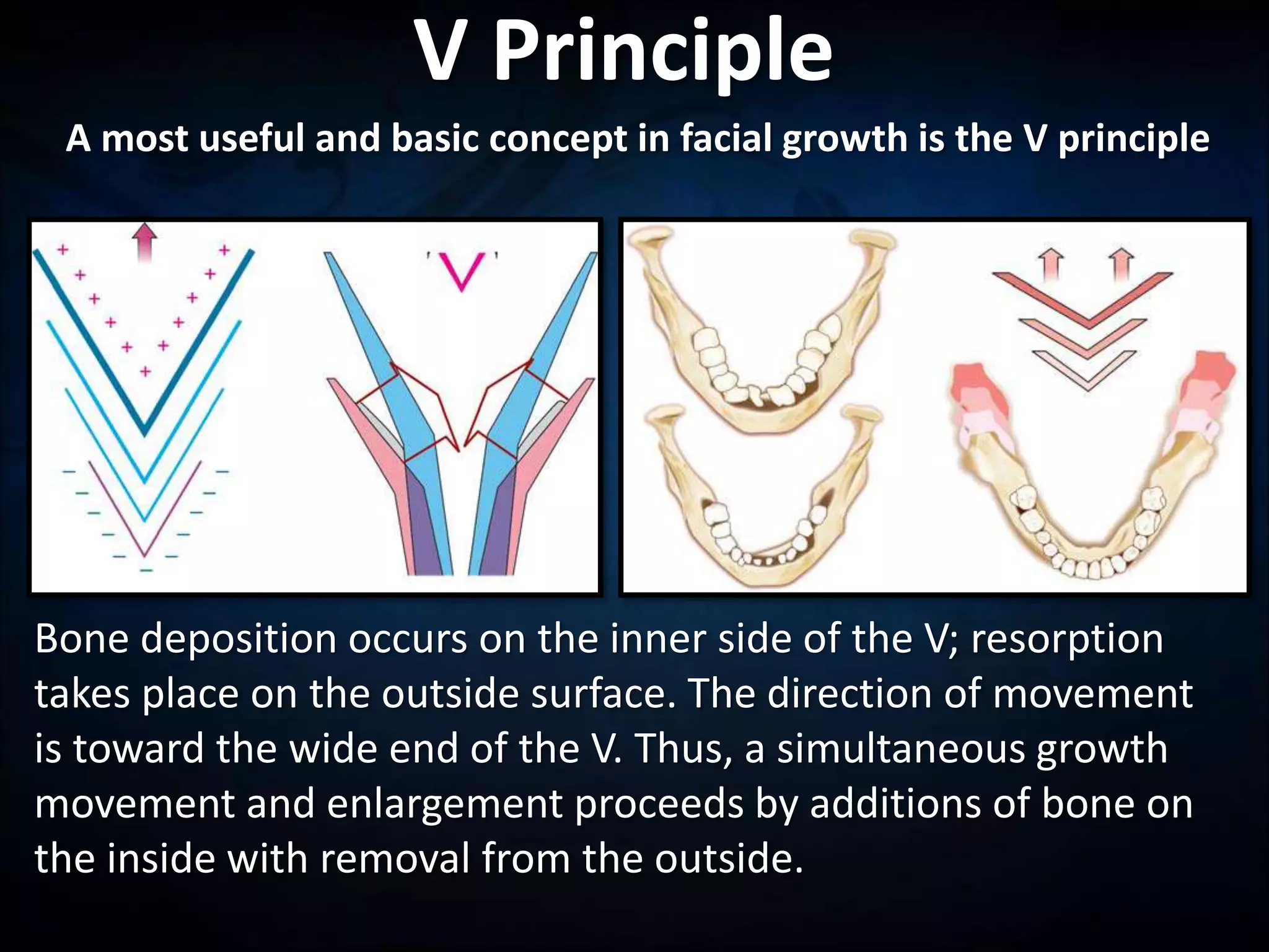 Postnatal growth of mandible | PPT