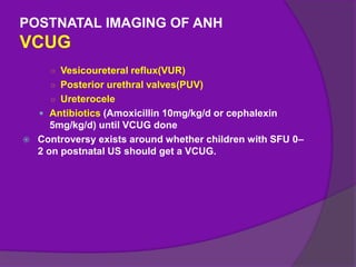 Postnatal mangement of anh (2) | PPTX
