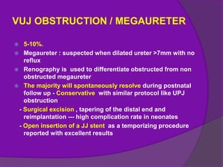Postnatal mangement of anh (2) | PPTX