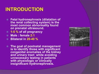 Postnatal mangement of anh (2) | PPTX