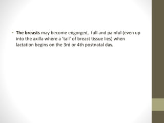 Postnatal period | PPTX