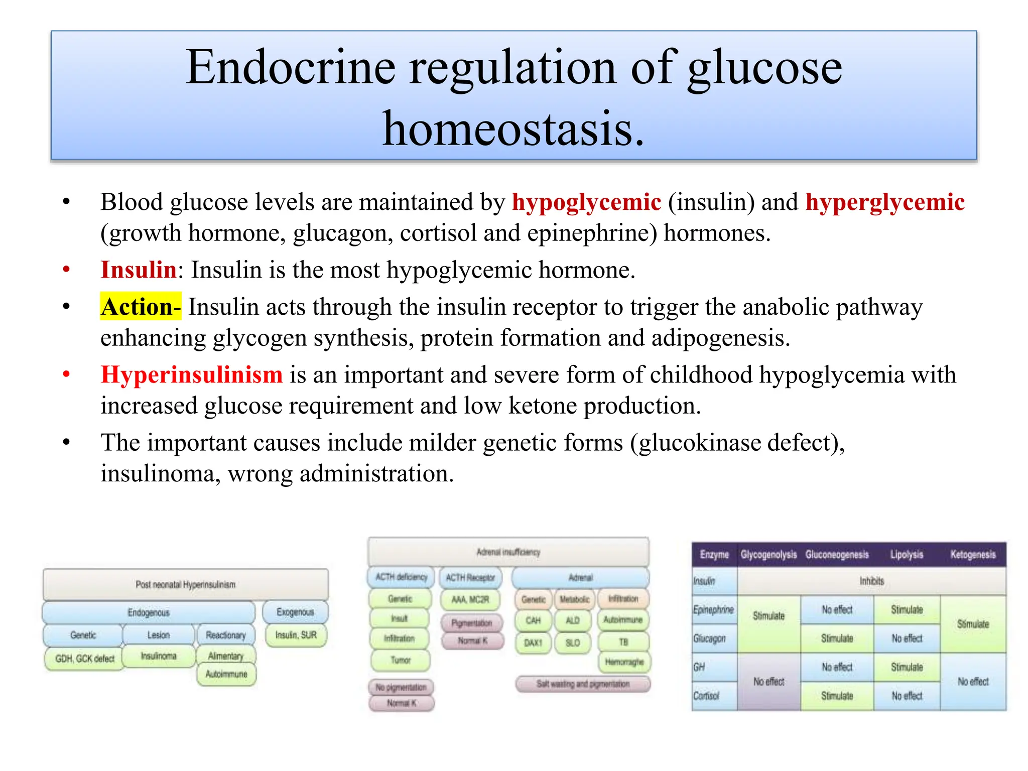 Diagnosis & Management of Hypoglycemia in Children | PPTX