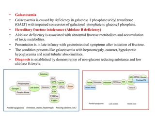 Diagnosis & Management of Hypoglycemia in Children | PPTX