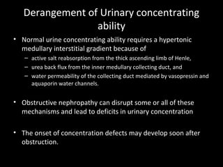 Post obstructive diuresis | PPT