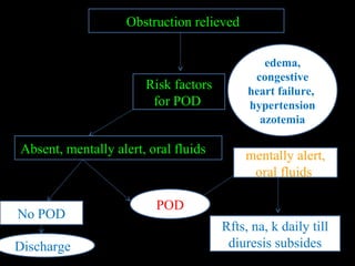Post obstructive diuresis | PPT