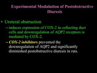 Post obstructive diuresis | PPT