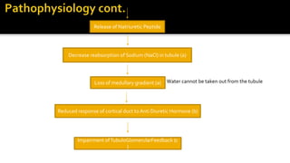 Post obstructive diuresis | PPTX
