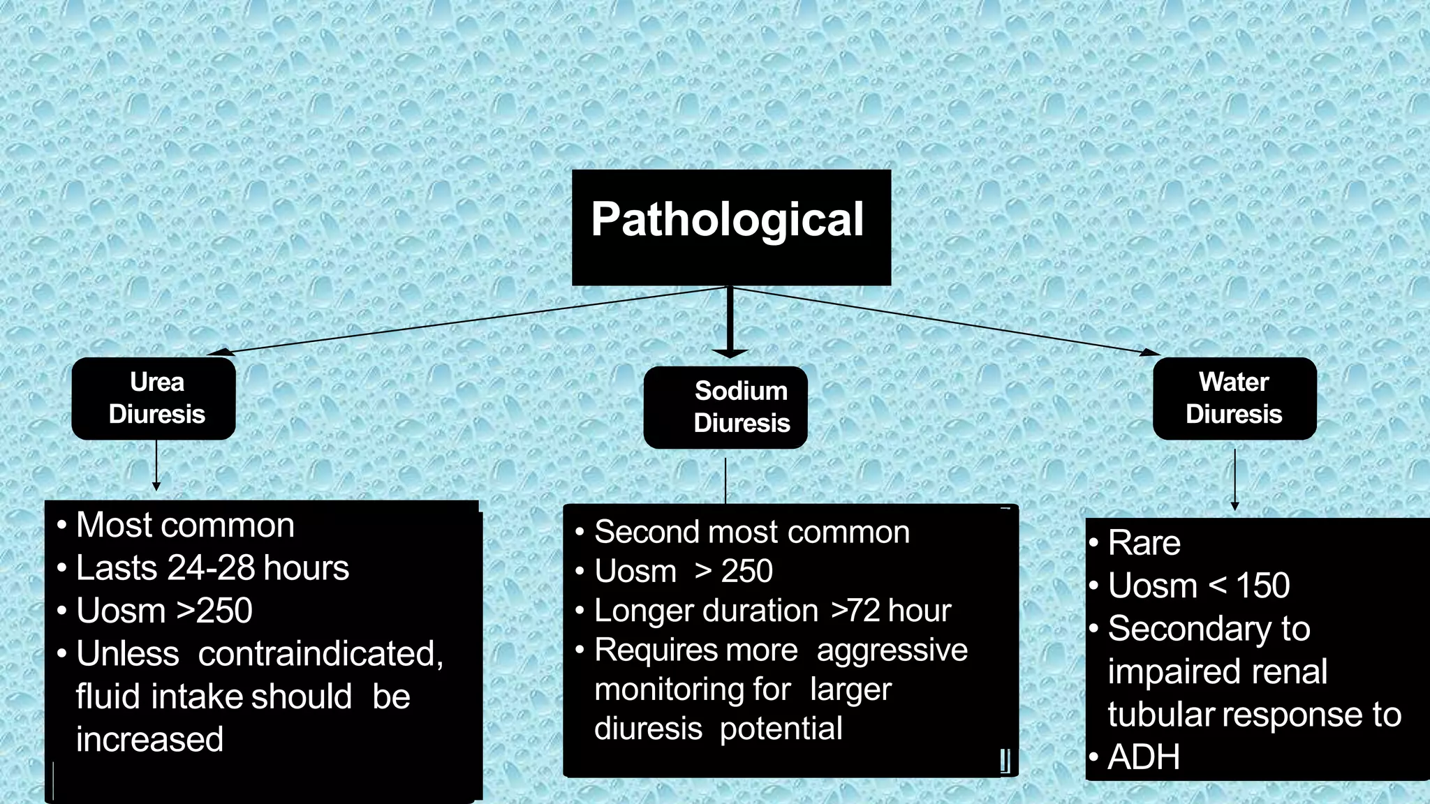 Postobstructive diuresis | PPT