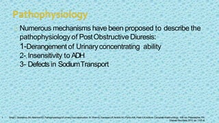 Postobstructive diuresis | PPT