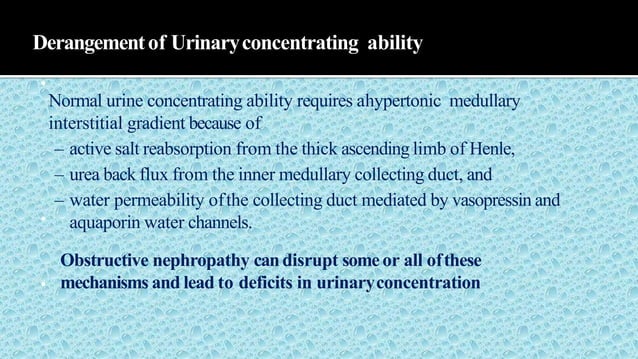 Postobstructive diuresis | PPT