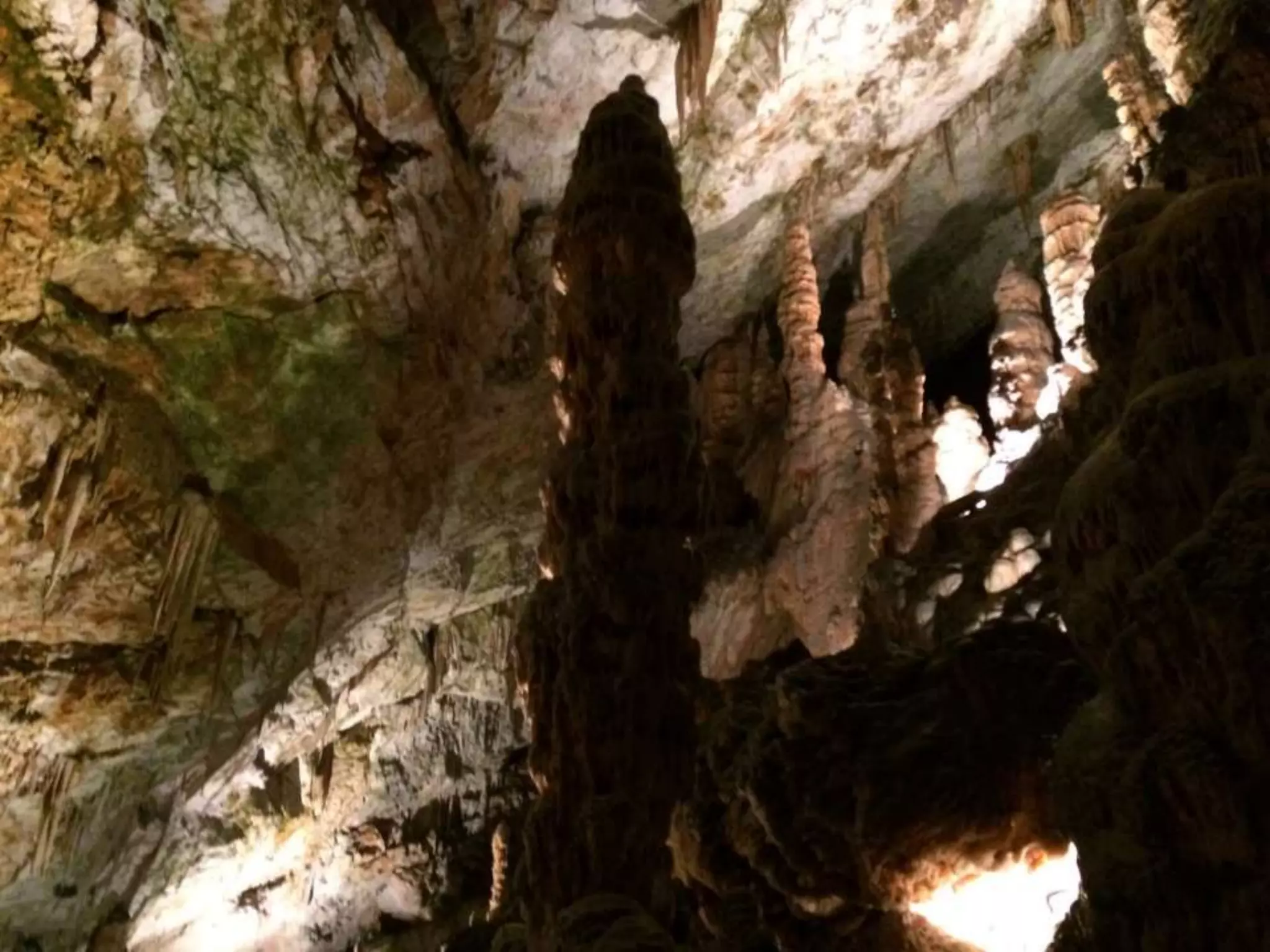 Postojna cave | PPT