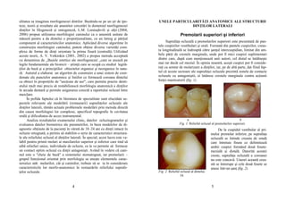 Postolachi_Restaurarea_suprafetelor_2012_ro-en.pdf